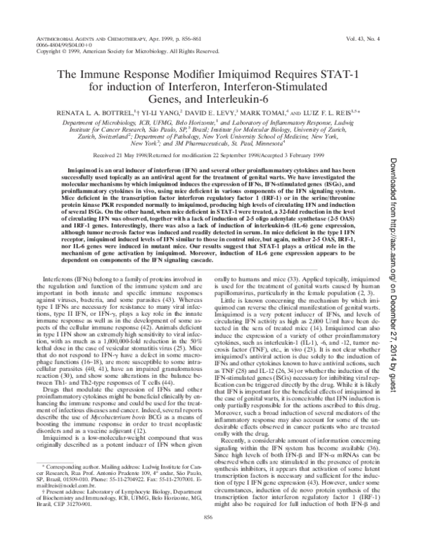 (PDF) The Immune Response Modifier Imiquimod Requires STAT1 for ...