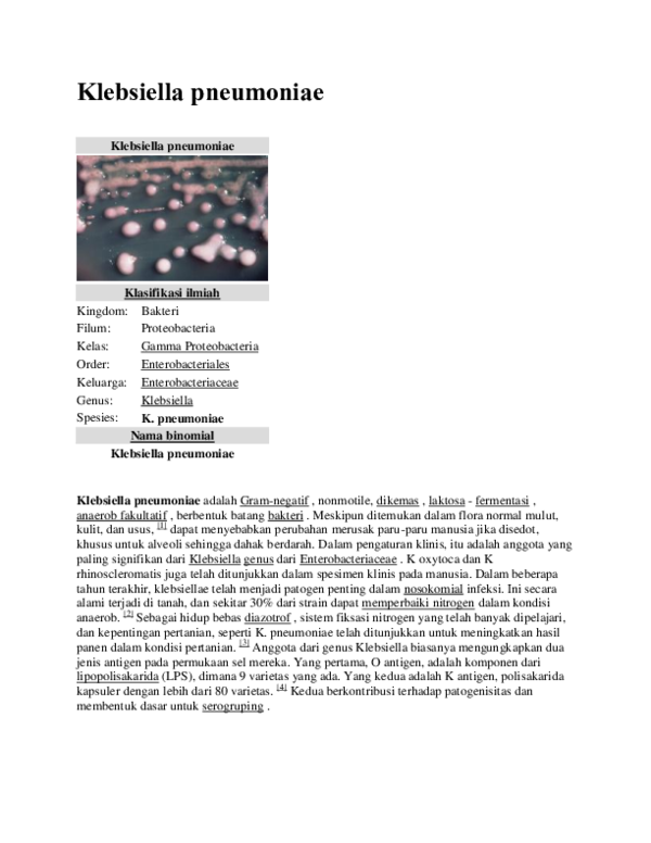 (DOC) klebsiella pneumonia