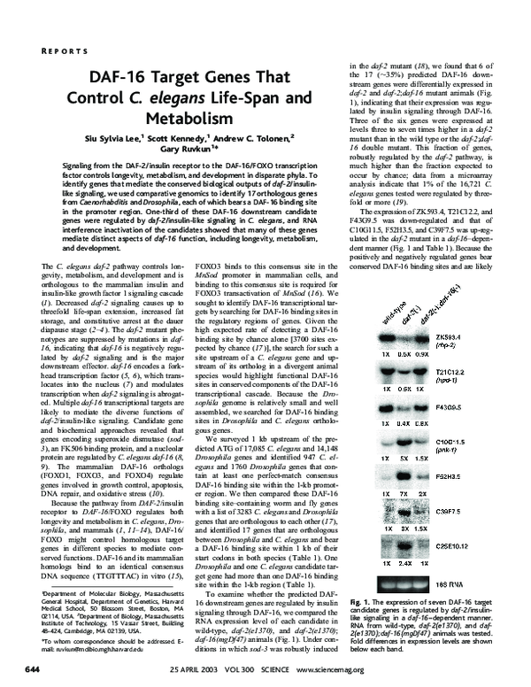 (PDF) DAF-16 Target Genes That Control C. elegans Life-Span and Metabolism