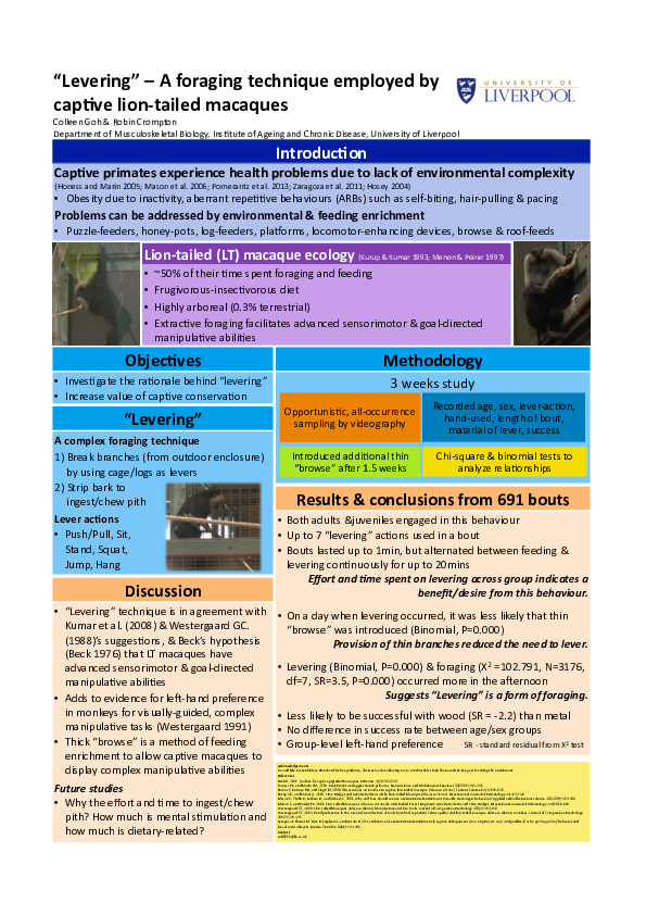 (PDF) “Levering” – A foraging technique employed by cap;ve lion-tailed ...