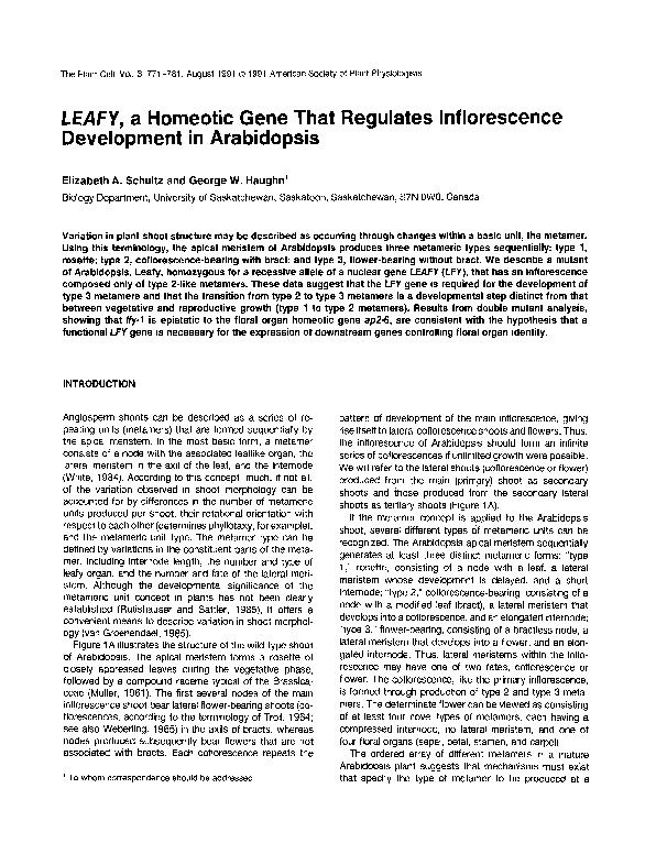 (PDF) LEAFY, a Homeotic Gene That Regulates Inflorescence Development ...