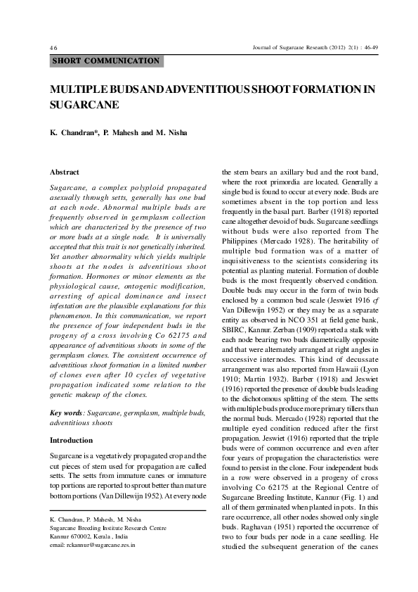 (PDF) Multiple buds and adventitious shoot formation in sugarcane
