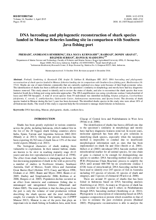 (PDF) DNA barcoding and phylogenetic reconstruction of shark species landed in Muncar fisheries ...