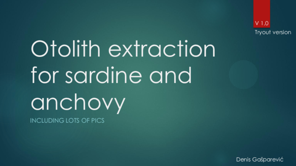 (PPT) Otolith extraction for sardine and anchovy
