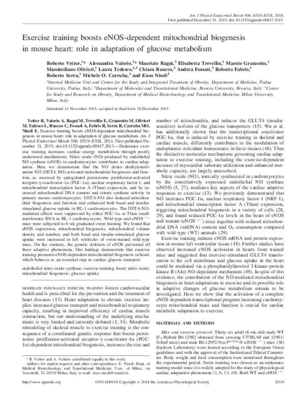 (PDF) Exercise training boosts eNOS-dependent mitochondrial biogenesis in mouse heart: role in ...