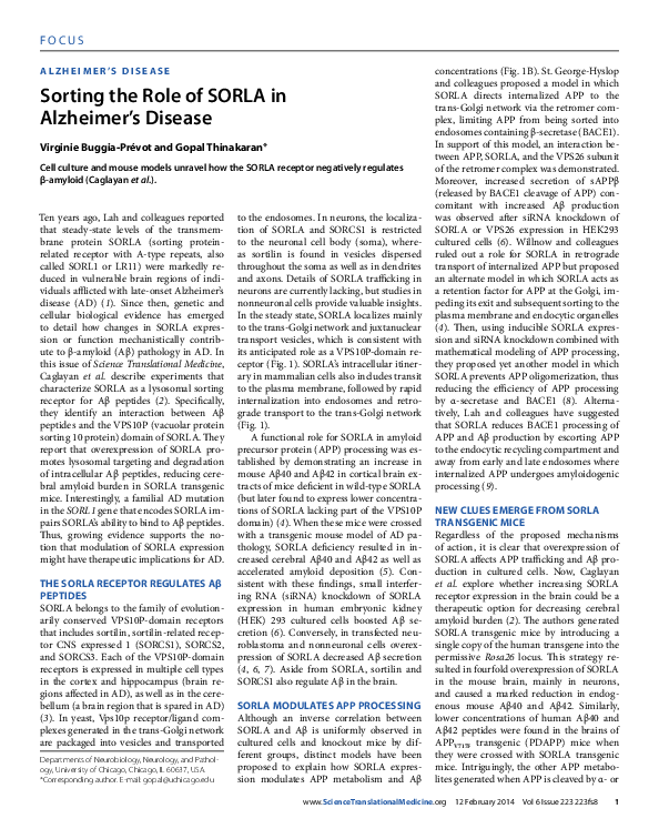 Sorting the Role of SORLA in Alzheimer's Disease.