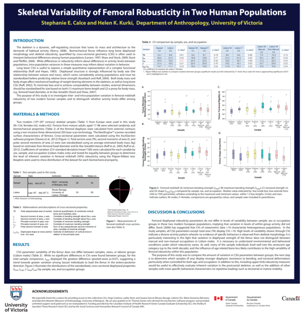 (PDF) Skeletal variability of femoral robusticity in two human ...