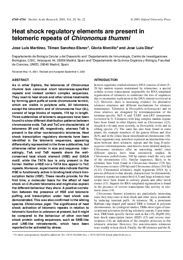 Heat shock regulatory elements are present in telomeric repeats of ...