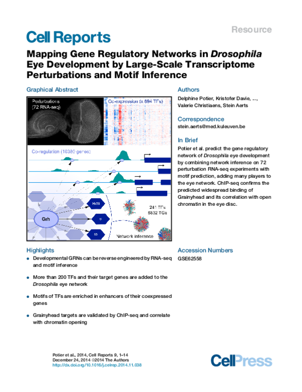 (PDF) Mapping Gene Regulatory Networks in Drosophila Eye Development by ...