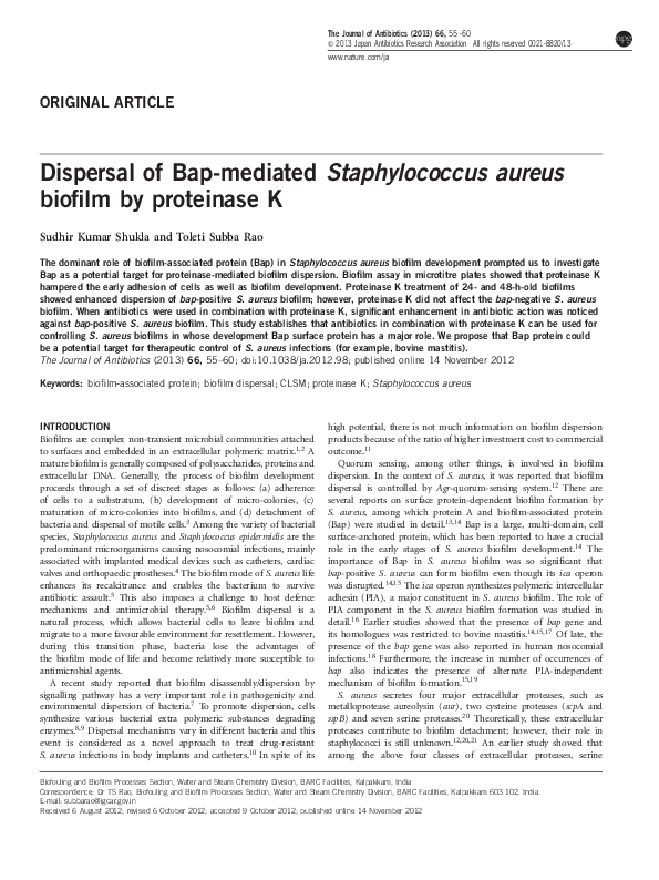 (PDF) Dispersal of Bap-mediated Staphylococcus aureus biofilm by ...