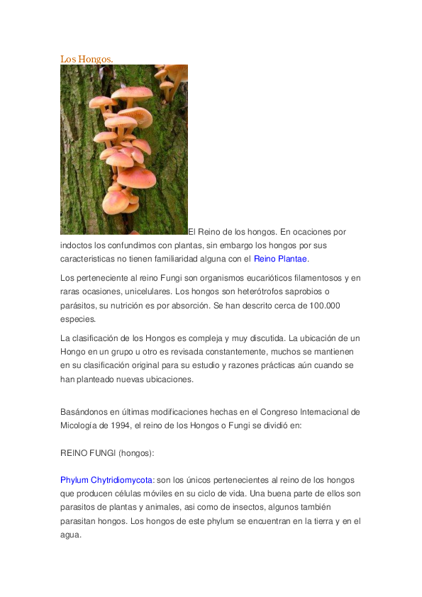 los hongos