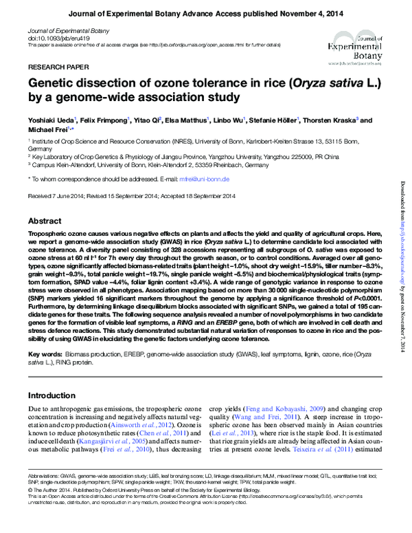 (PDF) Genetic dissection of ozone tolerance in rice (Oryza sativa L.) by a genome-wide ...