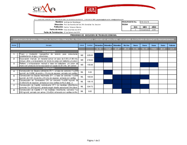 (PDF) Programa de ejecucion