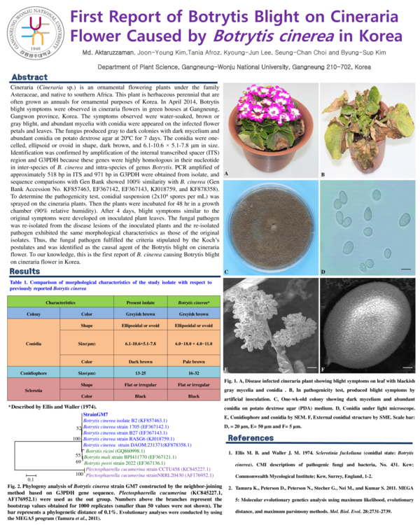 (PDF) First Report of Botrytis Blight on Cineraria Flower Caused by Botrytis cinerea in Korea