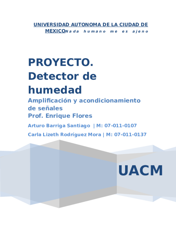 (DOC) Proyecto Amplifi