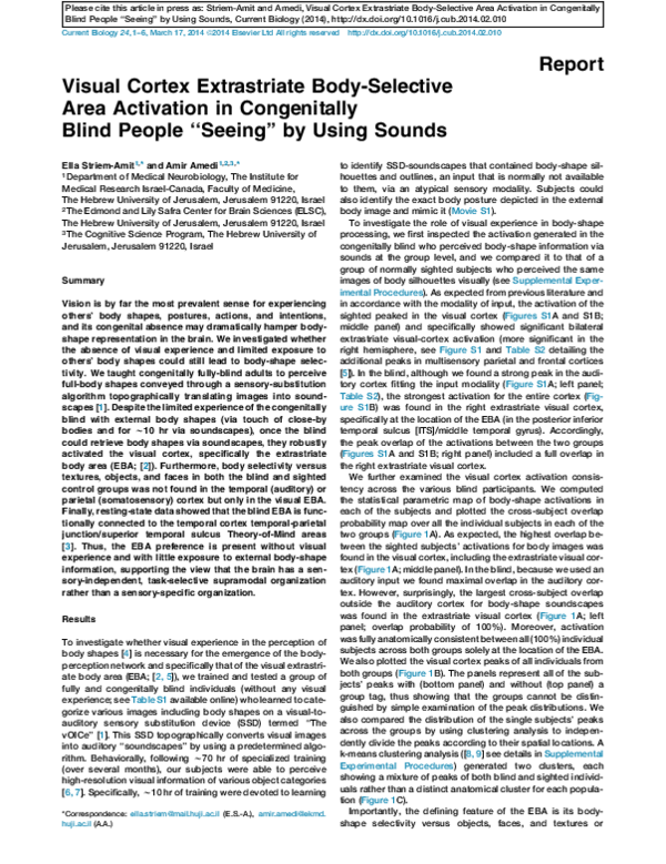 (PDF) Visual Cortex Extrastriate Body-Selective Area Activation in ...