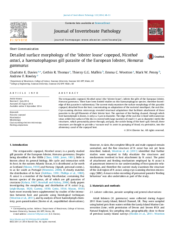 (PDF) Detailed surface morphology of the ‘lobster louse’ copepod ...