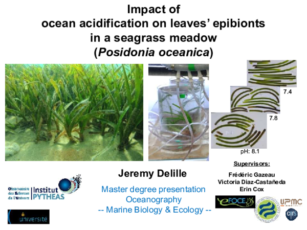 (PDF) Presentation in English - Impact of ocean acidification on ...