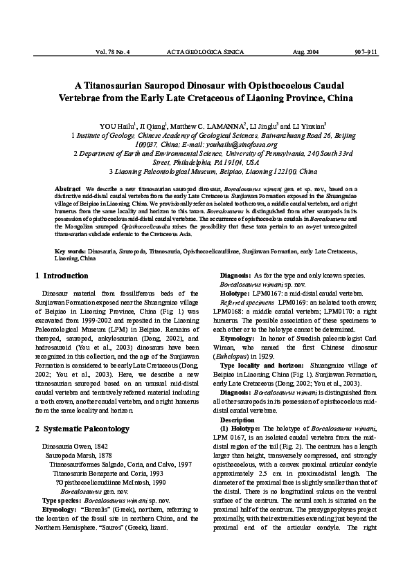 (PDF) A titanosaurian sauropod dinosaur with opisthocoelous caudal ...