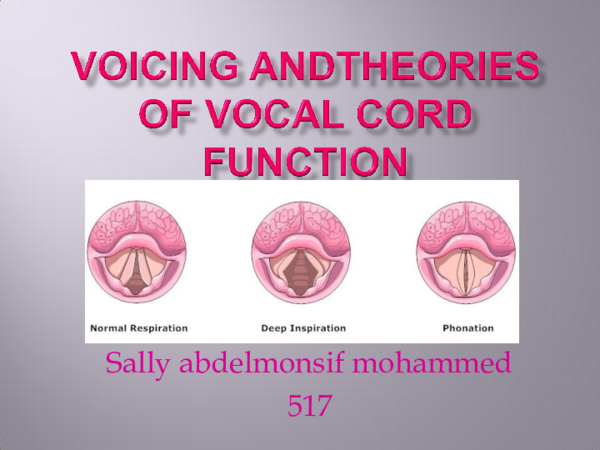 voicing and theories of vocal cord functions