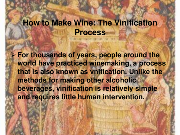 (PPT) Vinification