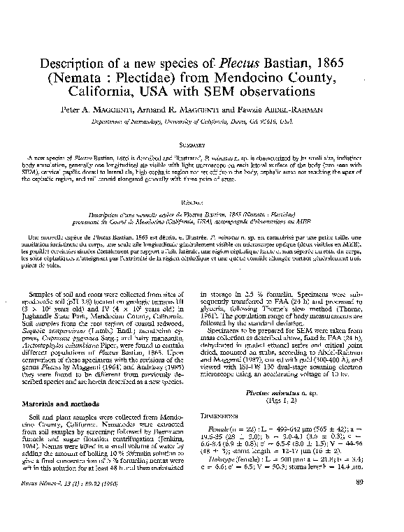 (PDF) Description of a new species of- Pleetus Bastian, 1865 (Nemata ...