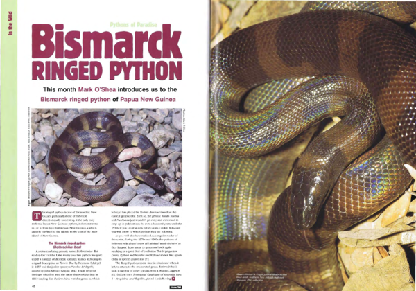 Pythons of Paradise Part 7. Bismarck ringed python