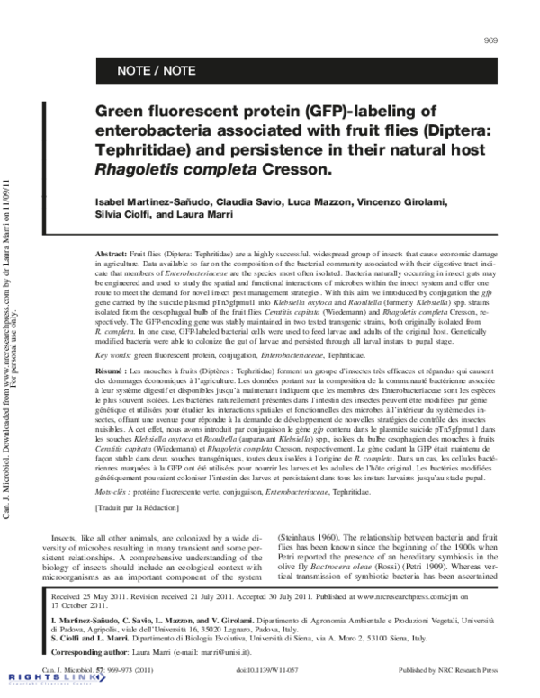 (PDF) Green fluorescent protein (GFP)-labeling of enterobacteria ...