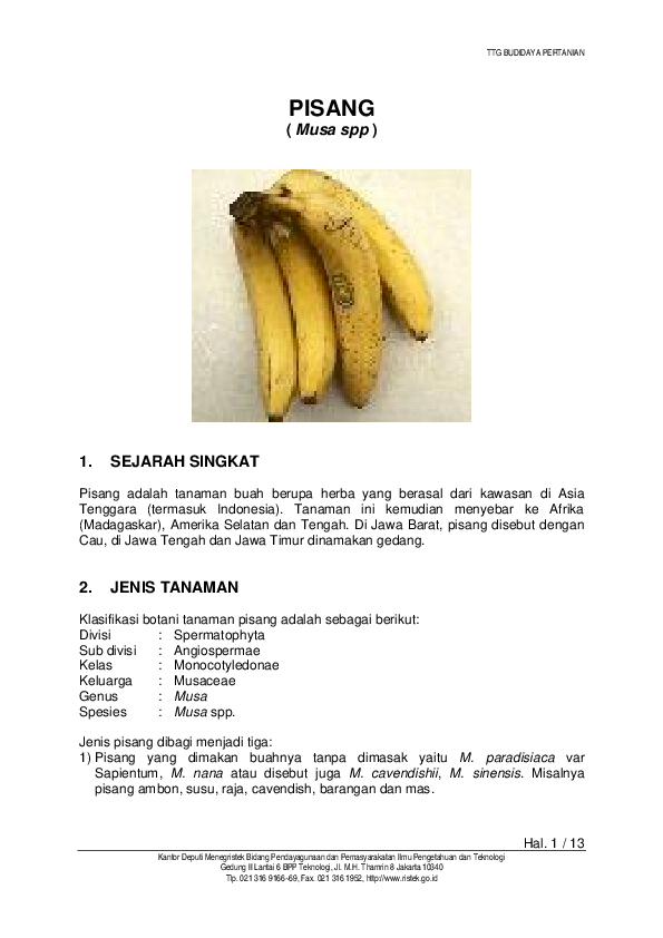 (PDF) Pisang