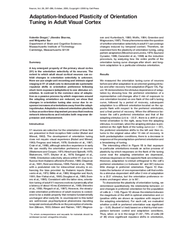 (PDF) Adaptation-Induced Plasticity of Orientation Tuning in Adult Visual Cortex | Jitendra ...