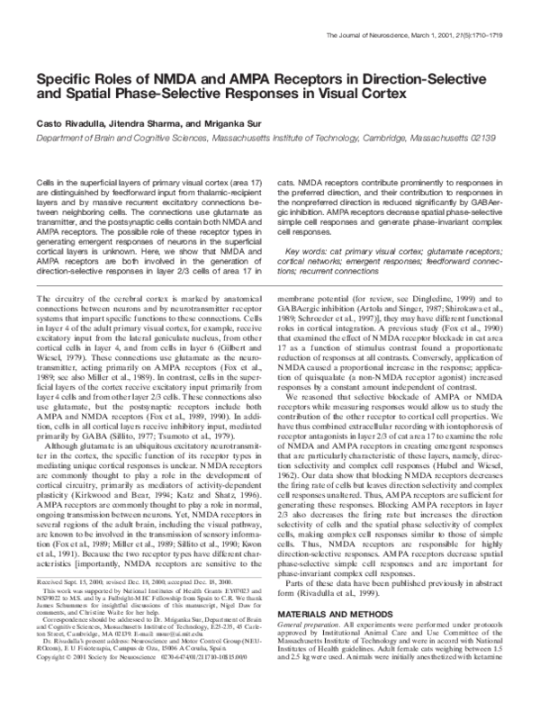 (PDF) The spatial extent of excitatory and inhibitory zones in the ...