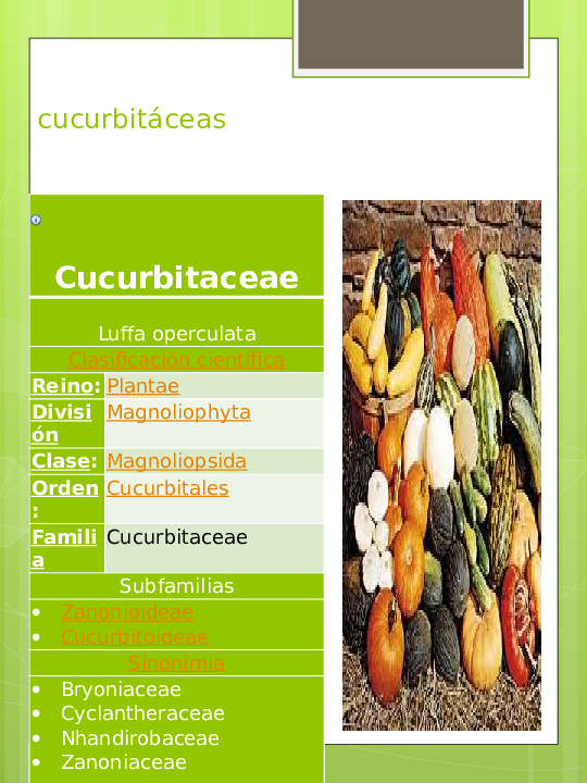(PPT) Cucurbitaceas
