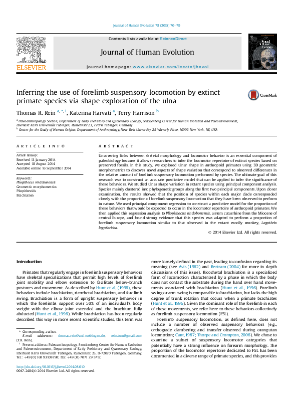 (PDF) 2015 Rein et al - Forelimb suspensory locomotion by extinct primates