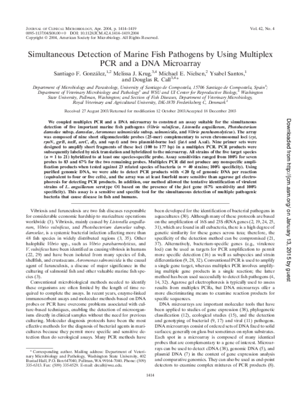 (PDF) Simultaneous Detection of Marine Fish Pathogens by Using Multiplex PCR and a DNA Microarray