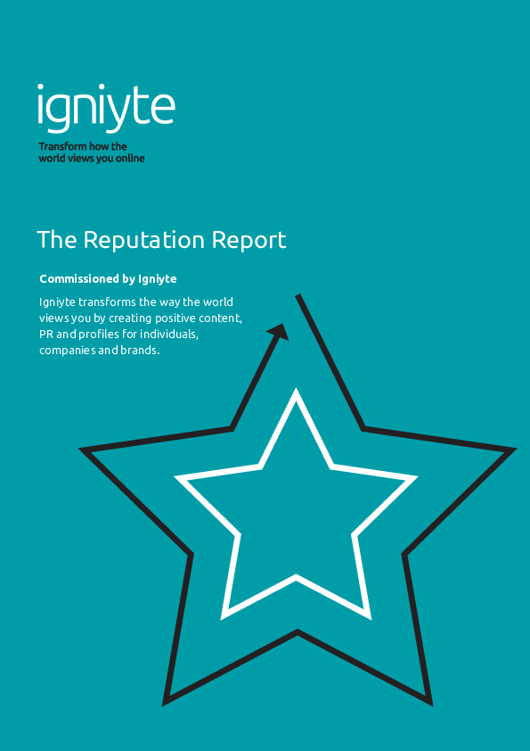 (PDF) The Reputation Report