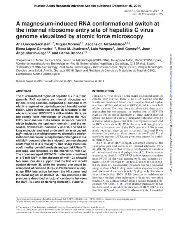 (PDF) A magnesium-induced RNA conformational switch at the internal ...
