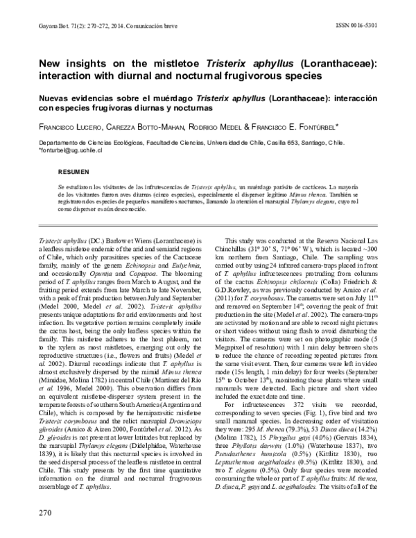 (PDF) New insights on the mistletoe Tristerix aphyllus (Loranthaceae ...
