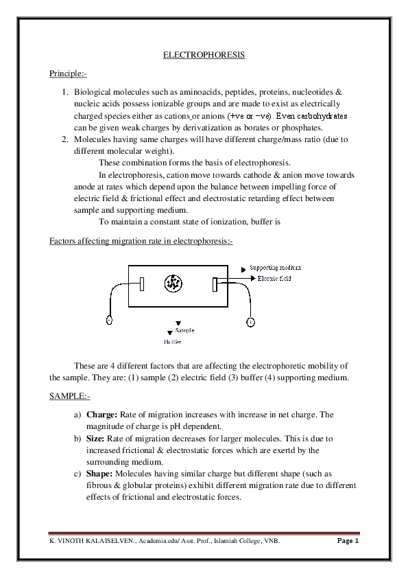 (PDF) ELECTROPHORESIS FACTOR AFFECTING