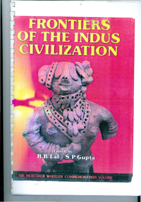 (PDF) Structural Remains and Town-Planning at Banawali
