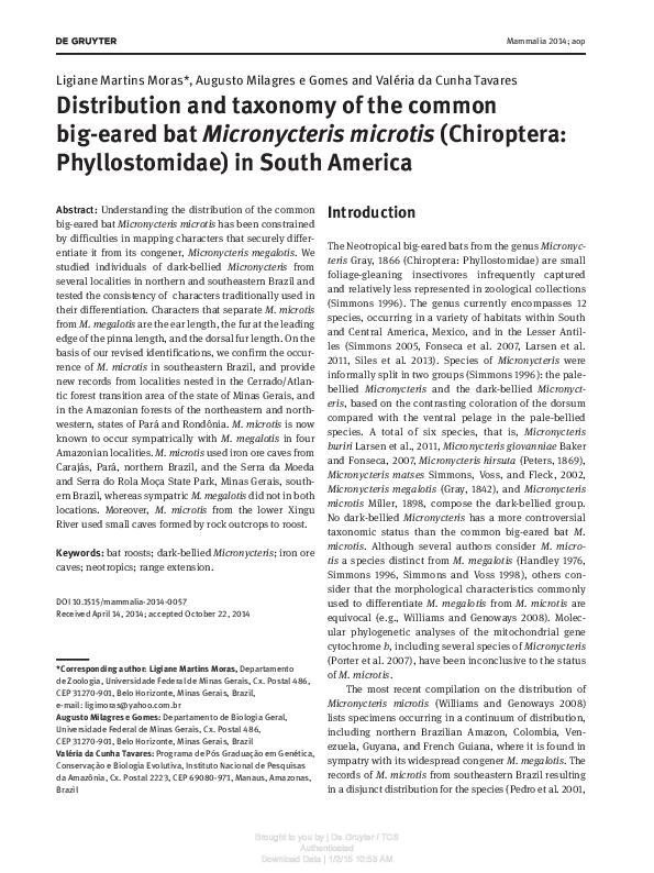 (PDF) Distribution and taxonomy of the common big-eared bat ...