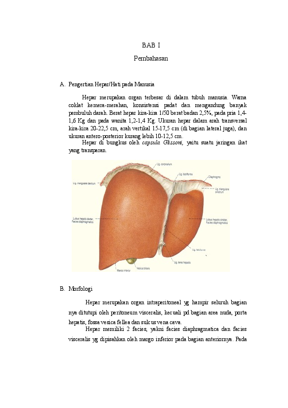 (DOC) sirosis hepatis