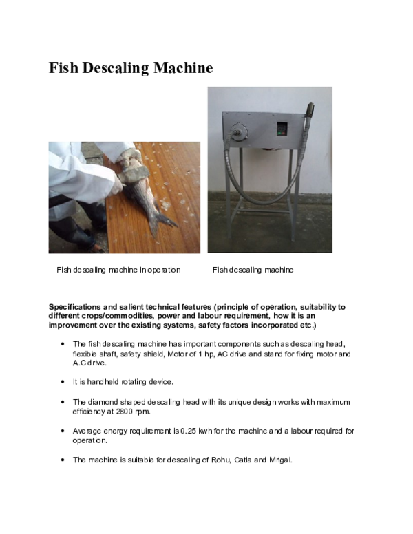 (DOC) Fish Descaling Machine
