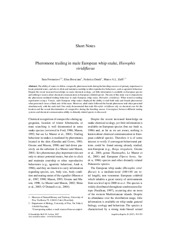 (PDF) Pheromone trailing in male European whip snake, Hierophis ...