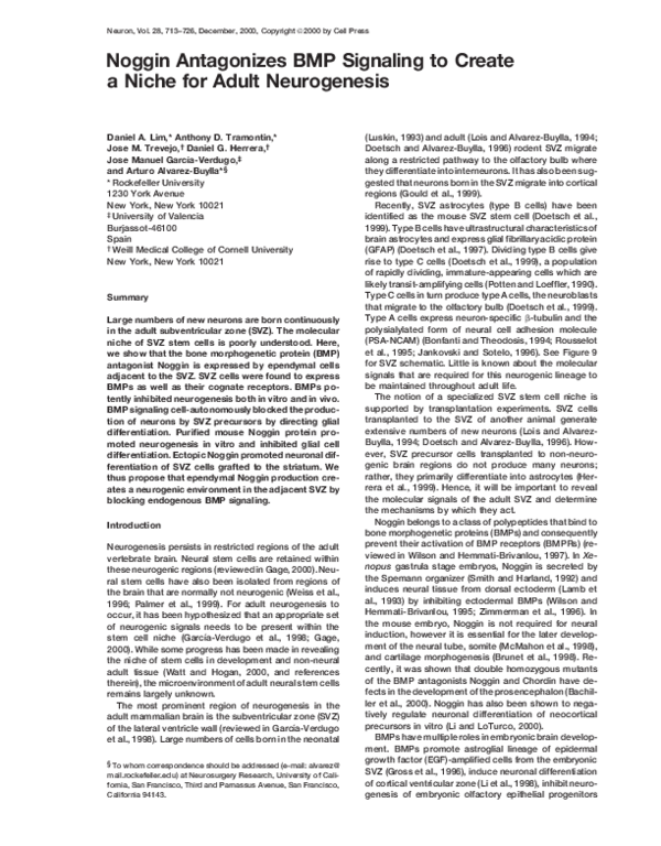 (PDF) Noggin Antagonizes BMP Signaling to Create a Niche for Adult ...