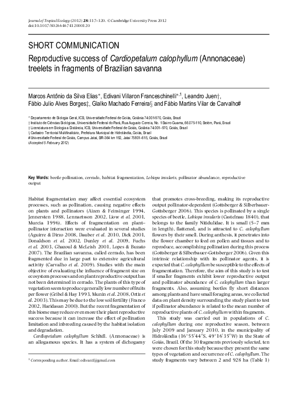Reproductive success of Cardiopetalum calophyllum (Annonaceae) treelets ...