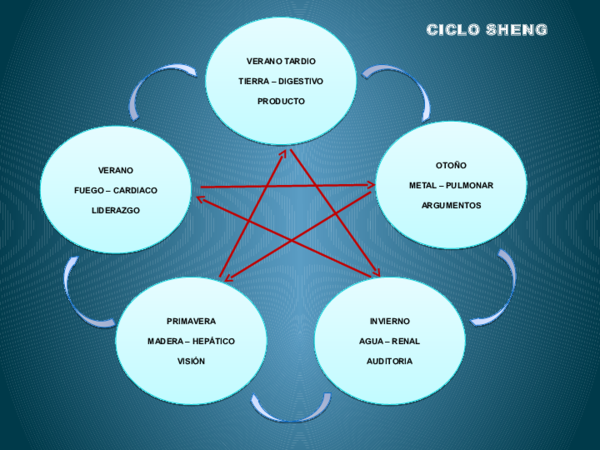(PPT) CICLO SHENG
