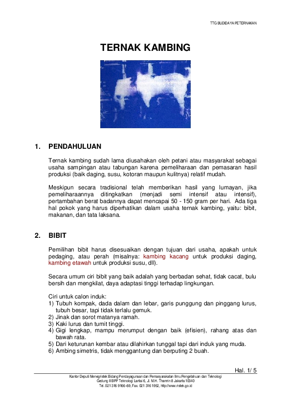 (PDF) Ternak kambing