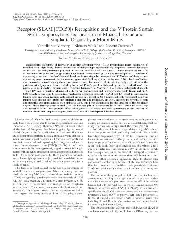 (PDF) Receptor (SLAM [CD150]) Recognition and the V Protein Sustain ...