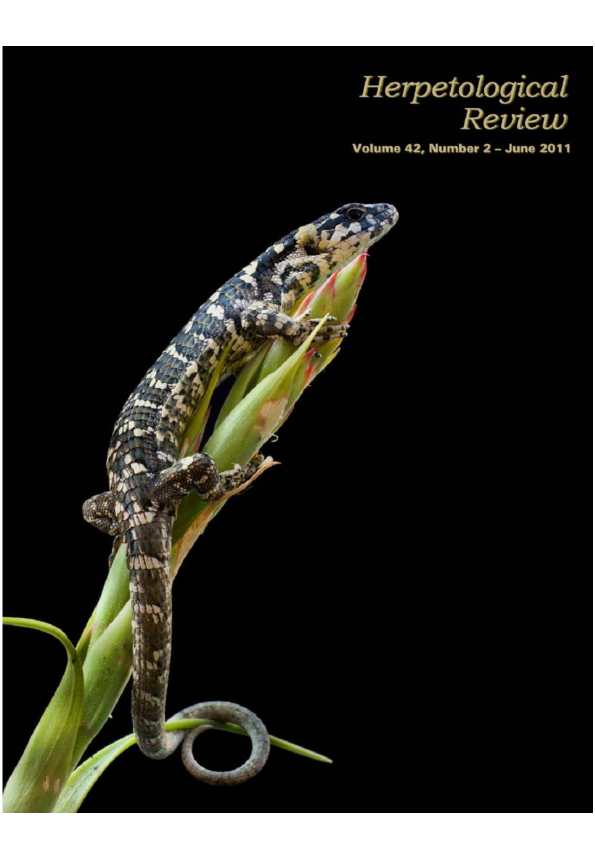 (PDF) Hemidactylus agrius (Country-leaf toad gecko). Reproduction