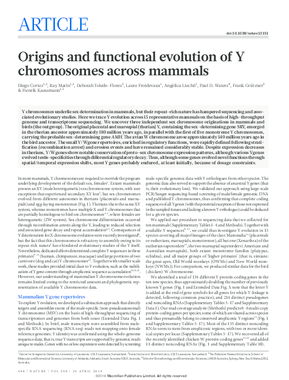 (PDF) Origins and functional evolution of Y chromosomes across mammals